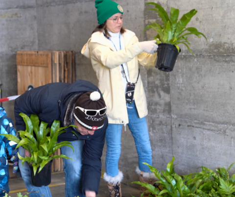 GreenUp Homepage | GreenUp
